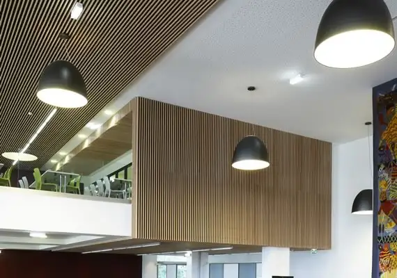 Types Of Ceiling Finishes In Building | Shelly Lighting